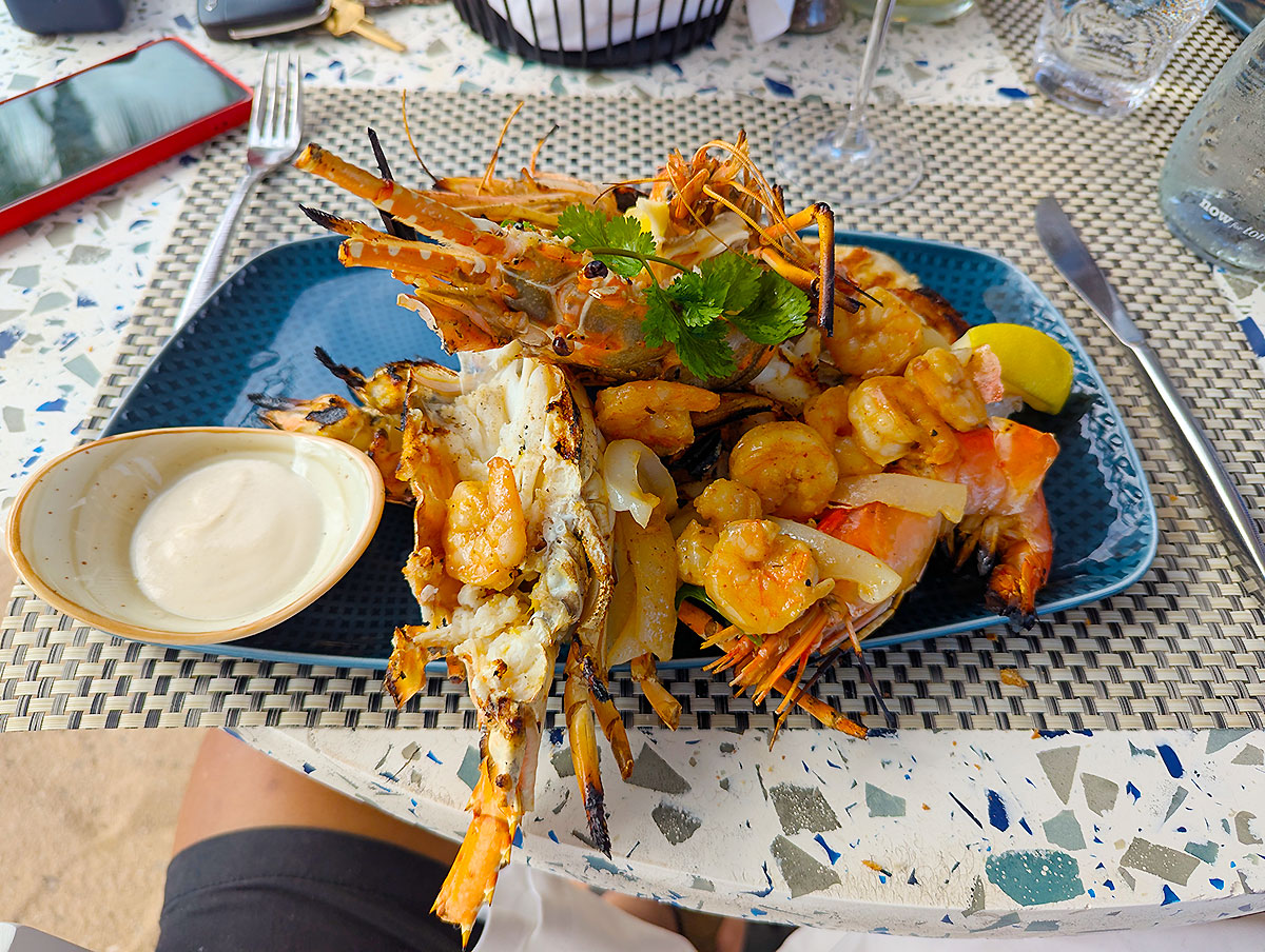 L'Éden retrouvé à l'Infinity Blue