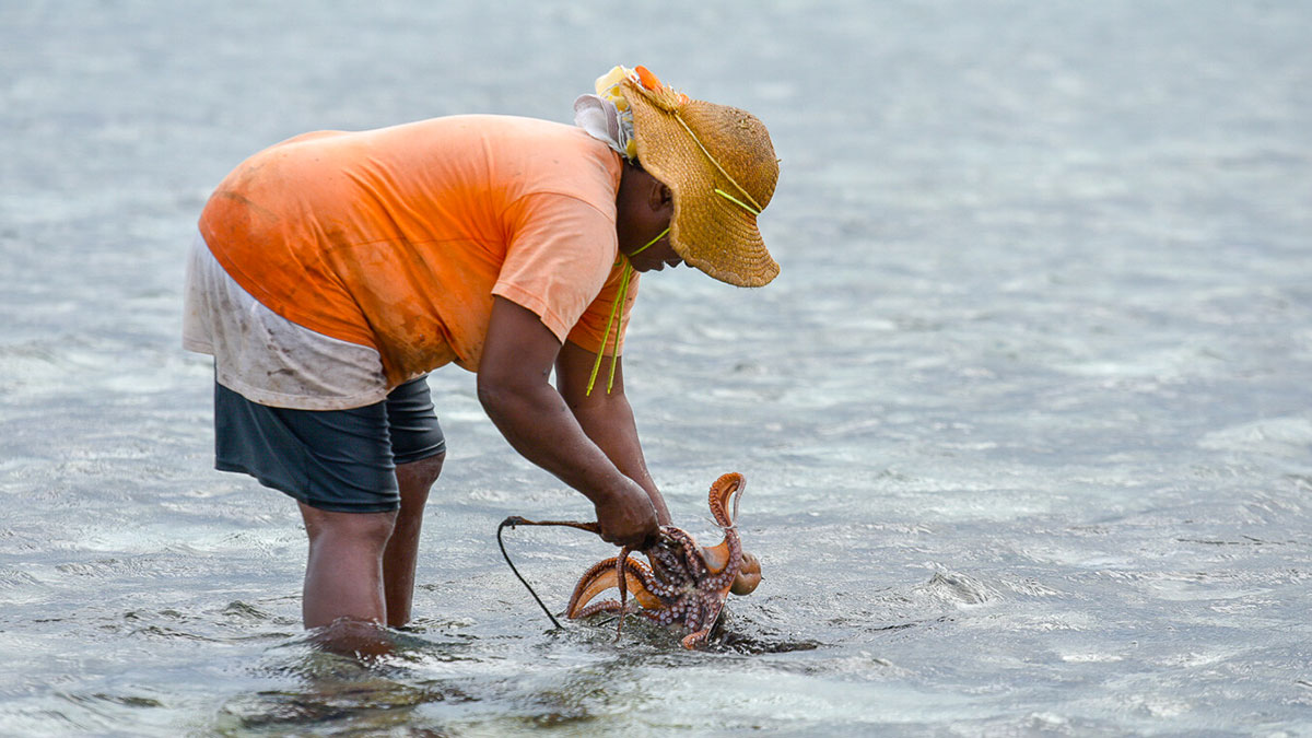 Ile Maurice Tourisme